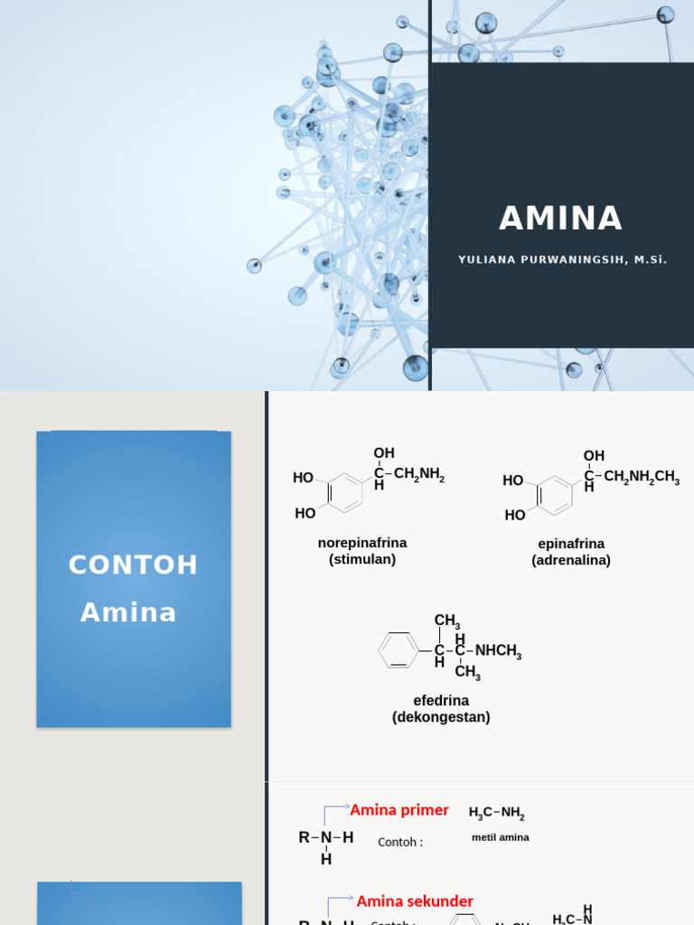 Amina | PDF