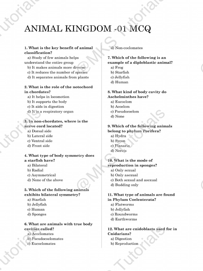 Animal Classification - 01 | PDF