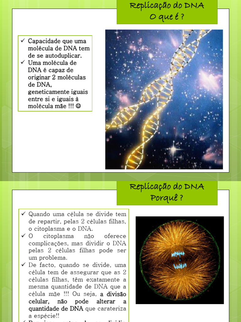 Replicação Do DNA | PDF