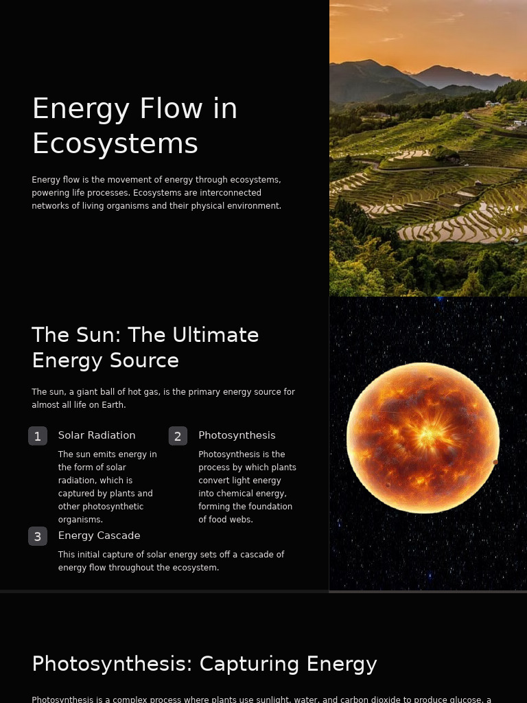 Energy Flow in Ecosystems 2 1 | PDF | Food Web | Photosynthesis