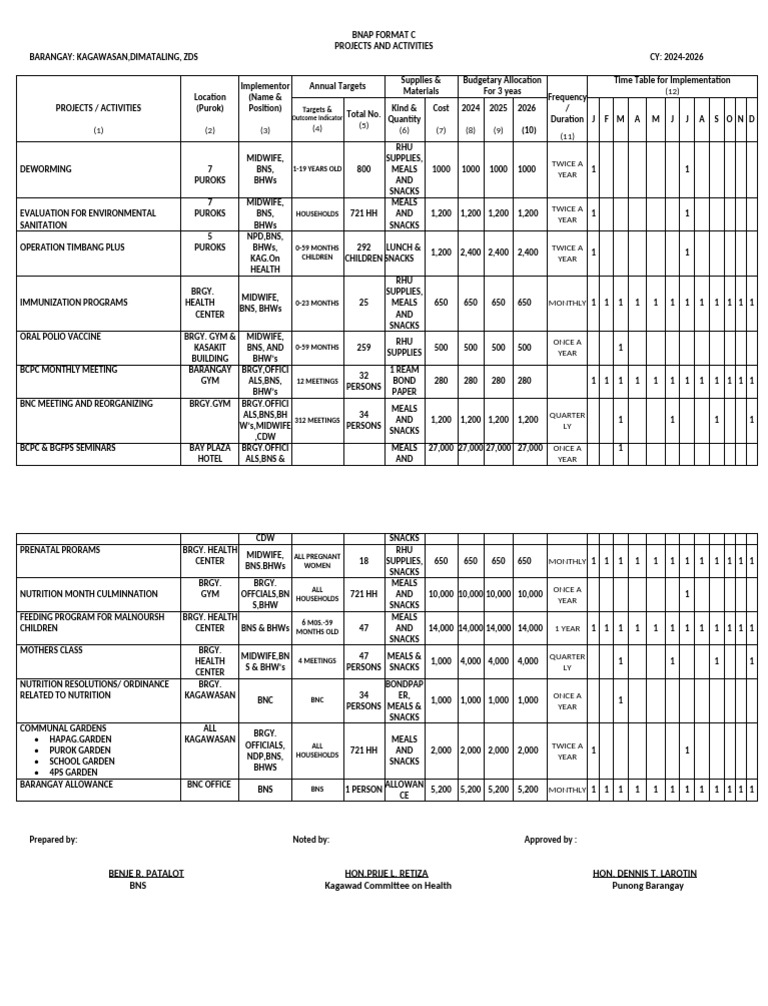 BNAP Format C Projects Activities 1 | PDF