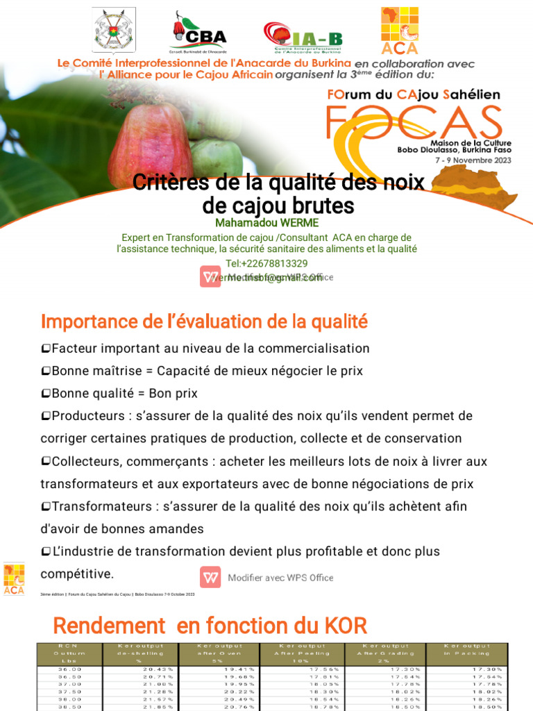 FOCAS 2023 Presentation Werme | PDF