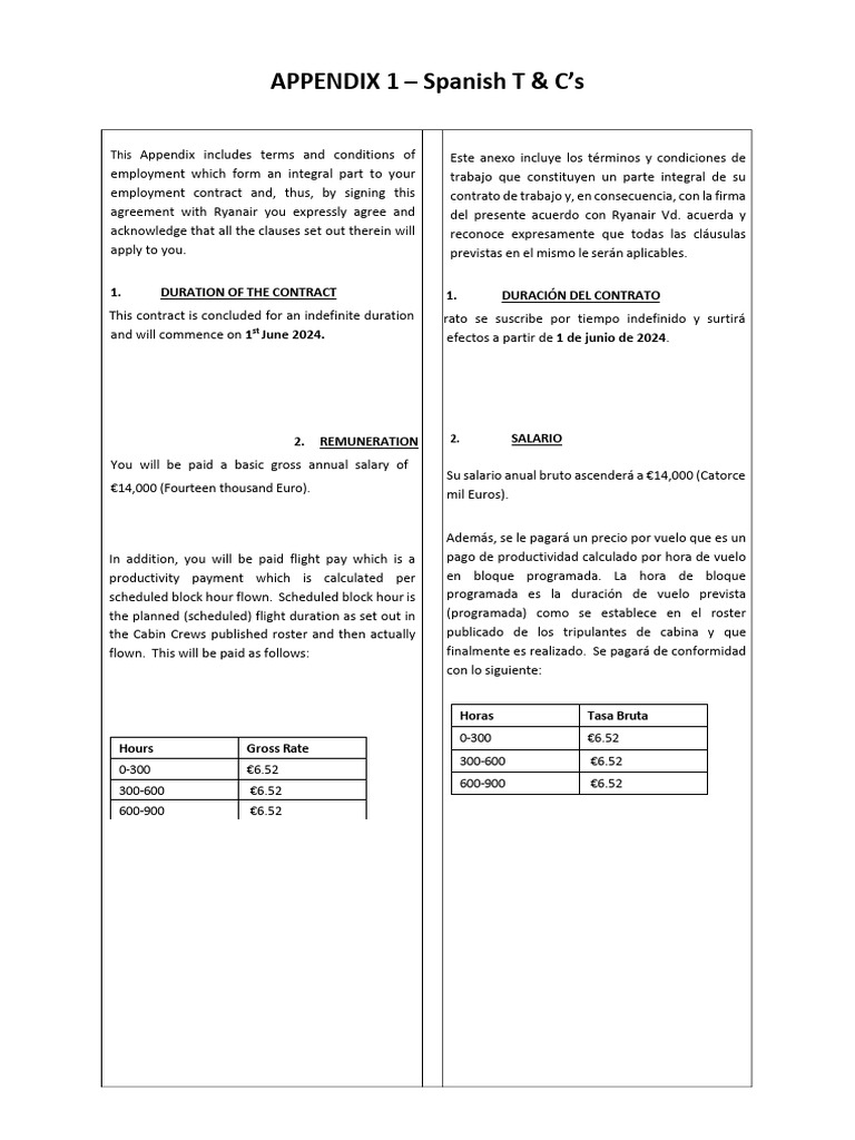 Carla Santana Ramos Appendix | PDF