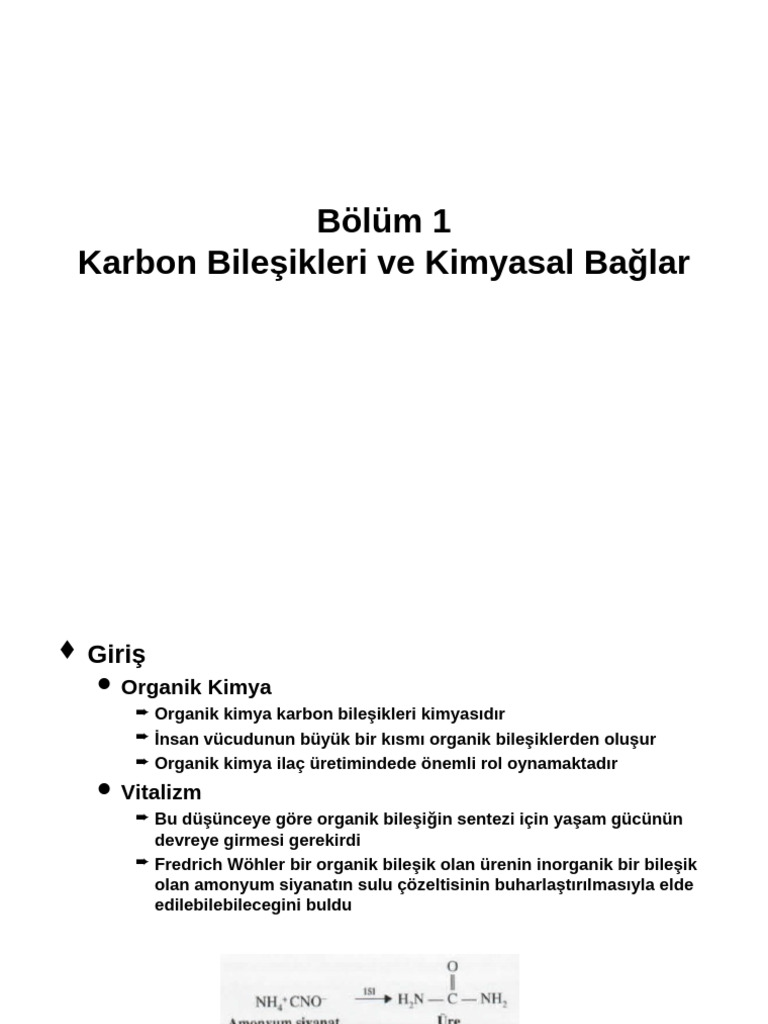 Bolum 1 | PDF