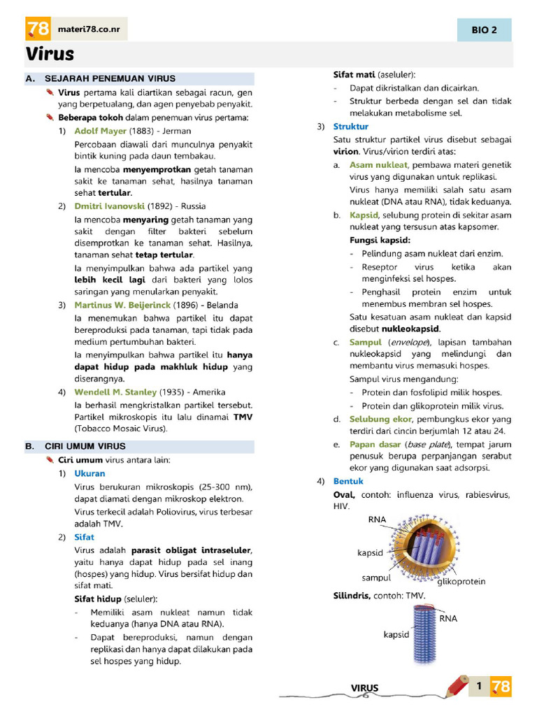 VIRUS | PDF