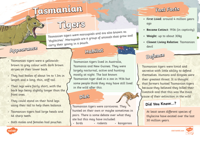 Tasmanian Tiger Fact File | PDF