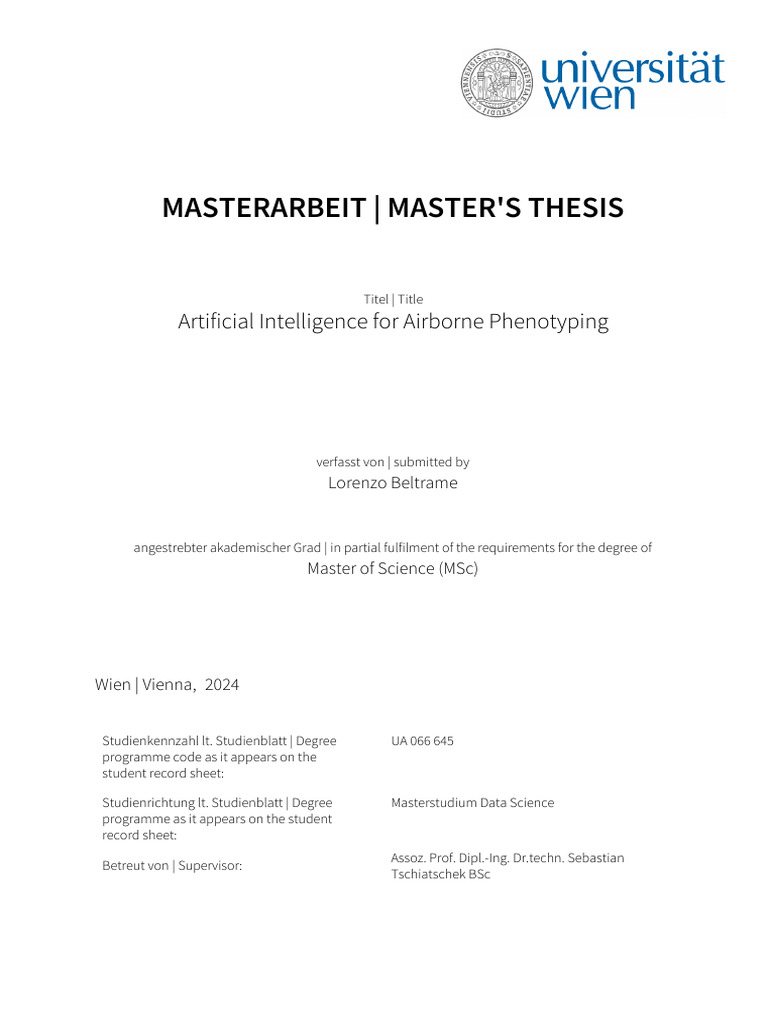 Masterarbeit - Master'S Thesis: Artificial Intelligence For Airborne ...