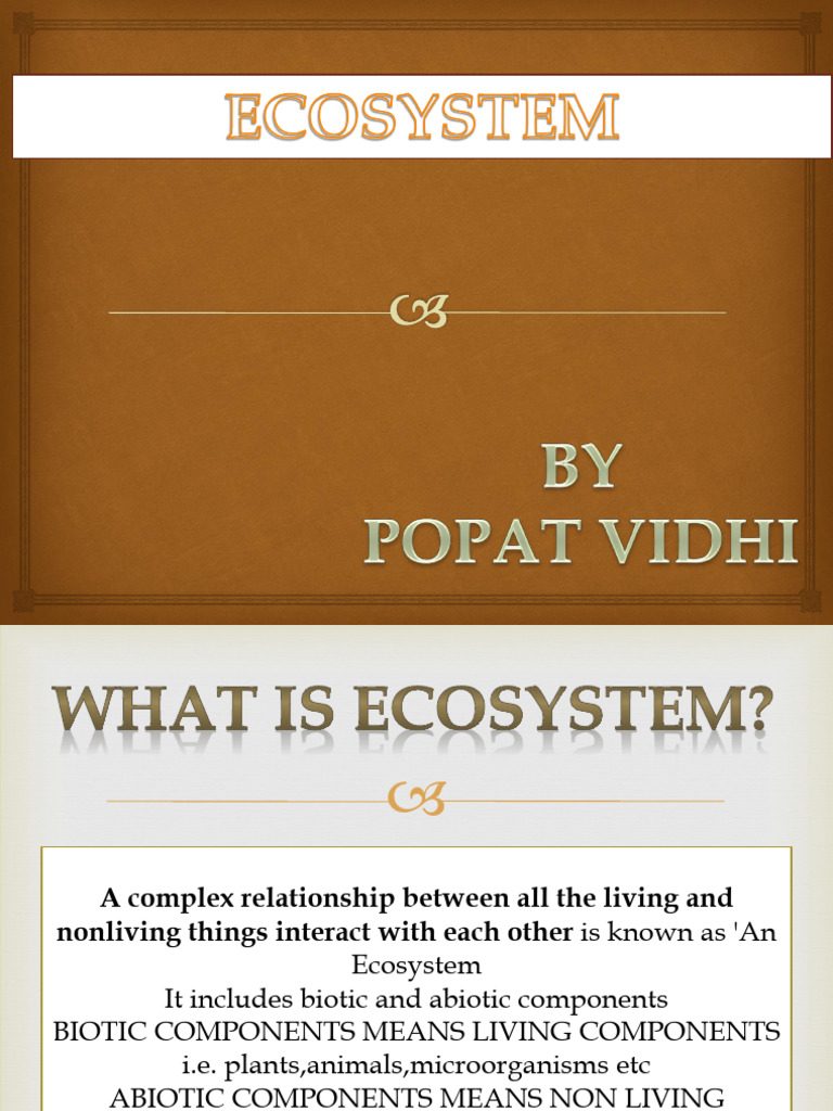 Ecosystem | PDF