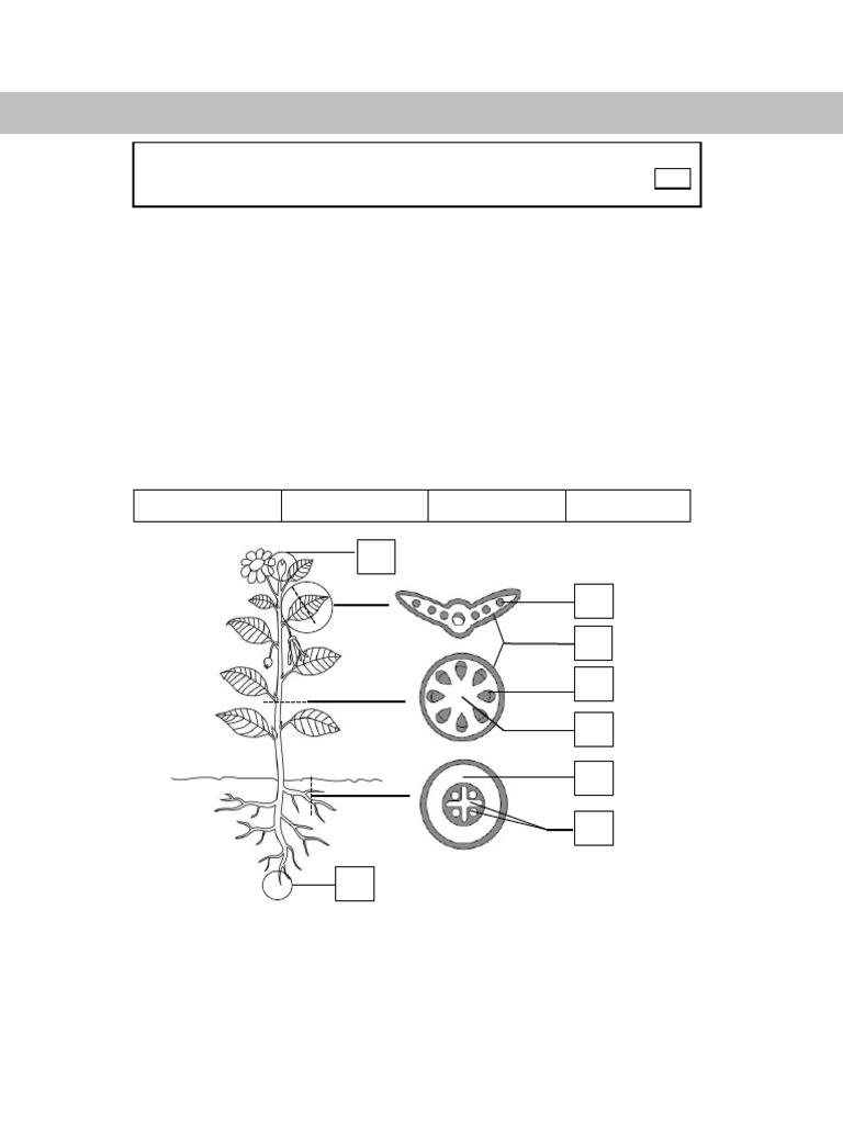 19.02.2024 F5 Biologi Latihan Bab 15.2.24 Sir Ashraaf | PDF