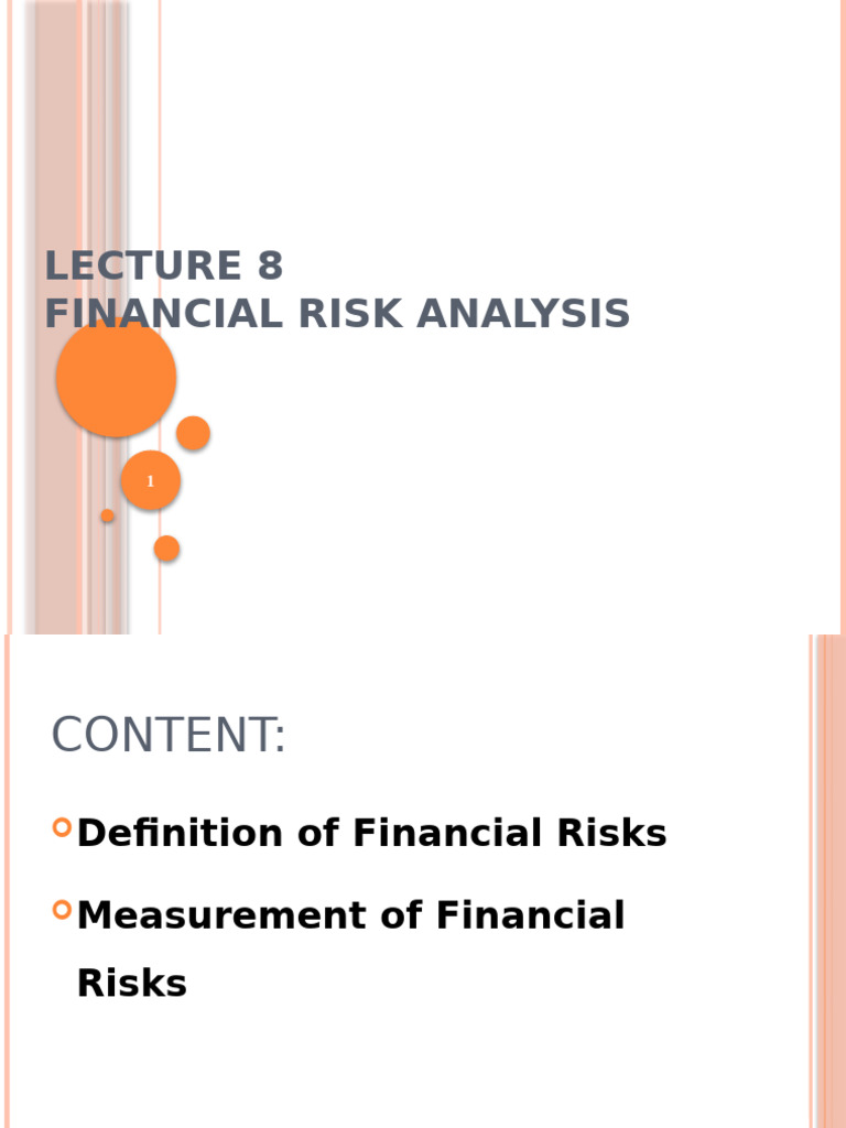 Topic 8 - Financial Risk Analysis | PDF