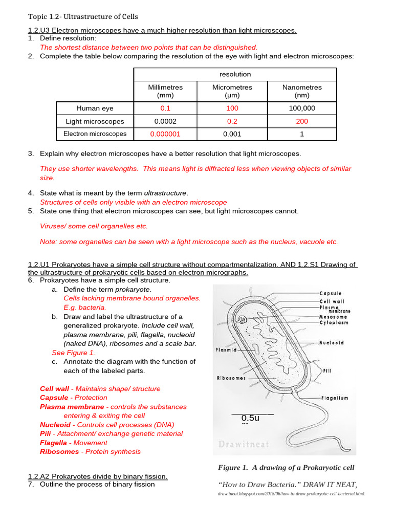 1.2. Ultrastructure of Cells - Notes Answers | PDF
