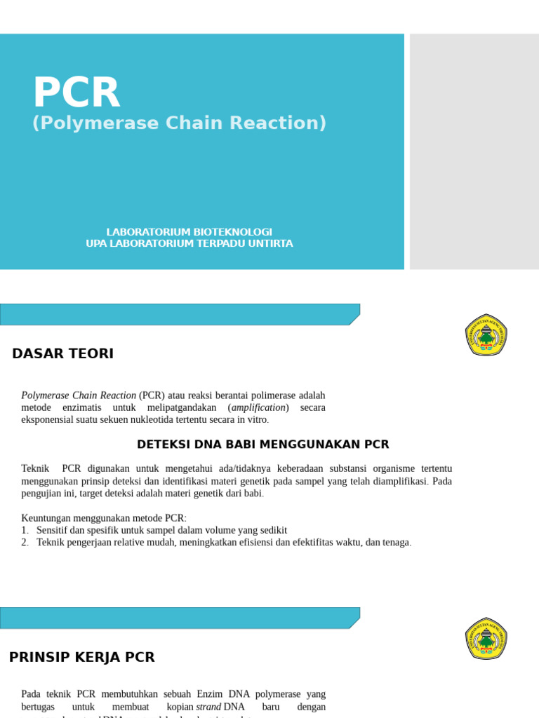 Materi Pcr | PDF