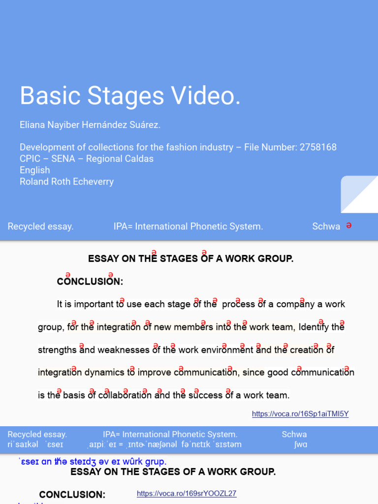 Basic Stages Video. D. Eliana H. | PDF