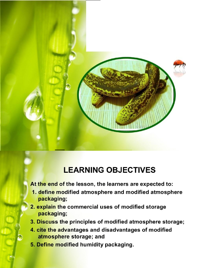 Lesson 4 Packaging MAP CAP | PDF