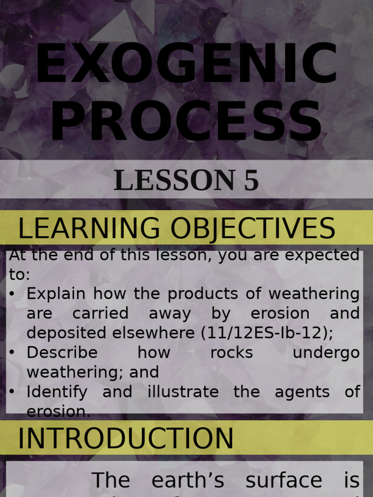 Els Week2 Exogenic Process | PDF