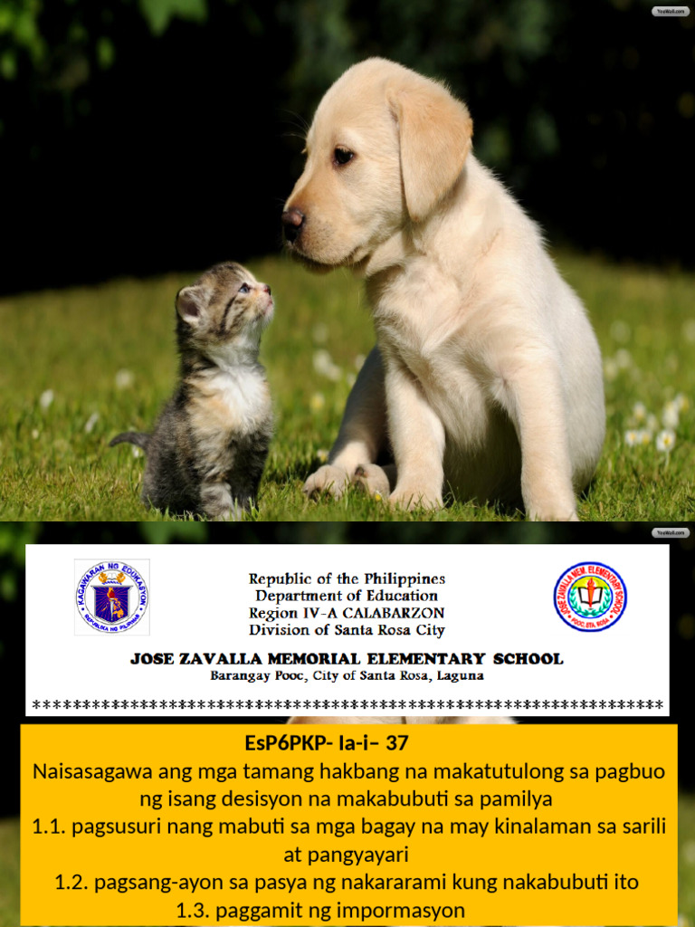 Pananagutang Pansarili at Mabuting Kasapi NG Pamilya - Unang Markahan ...