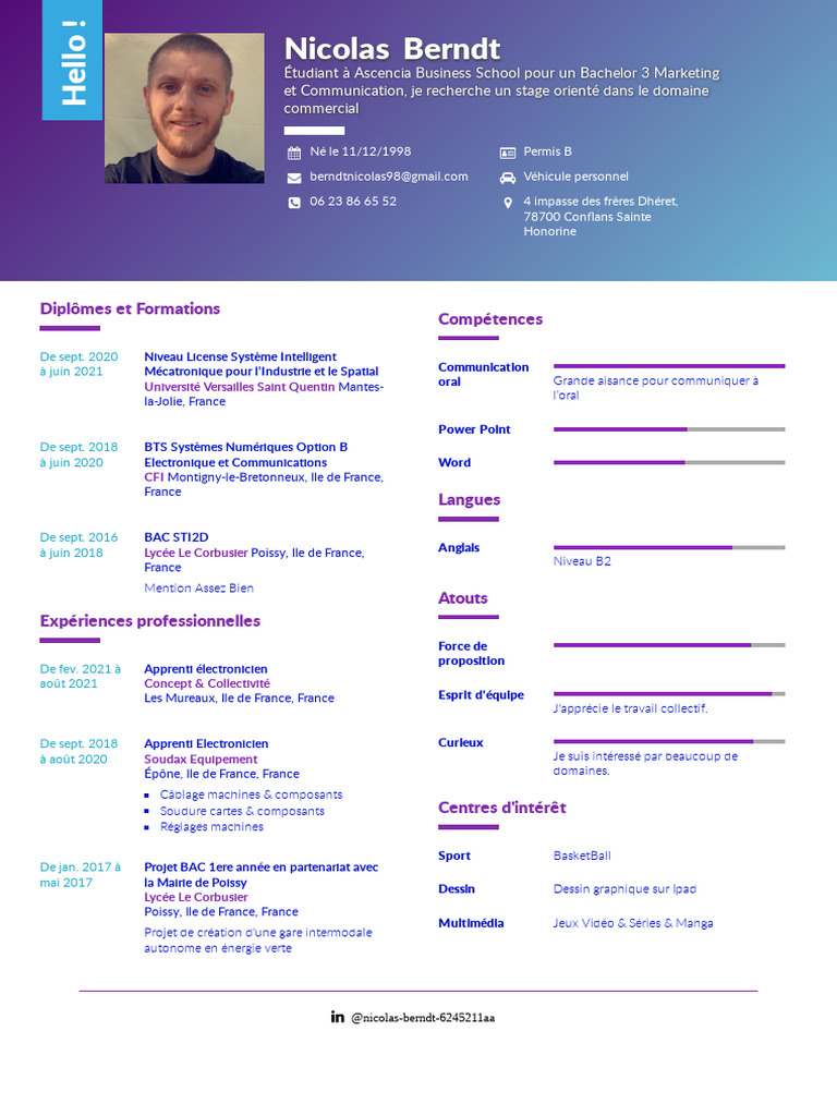 CV Berndt Nicolas | PDF