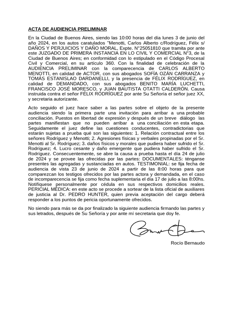 Acta de Audiencia Preliminar | PDF