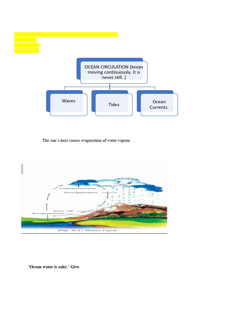 Water | PDF