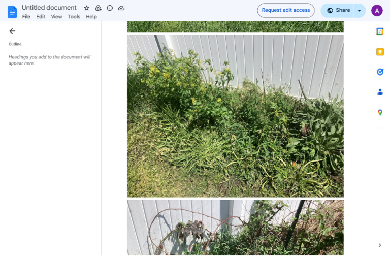 Untitled Document - Google Docs 7 | PDF