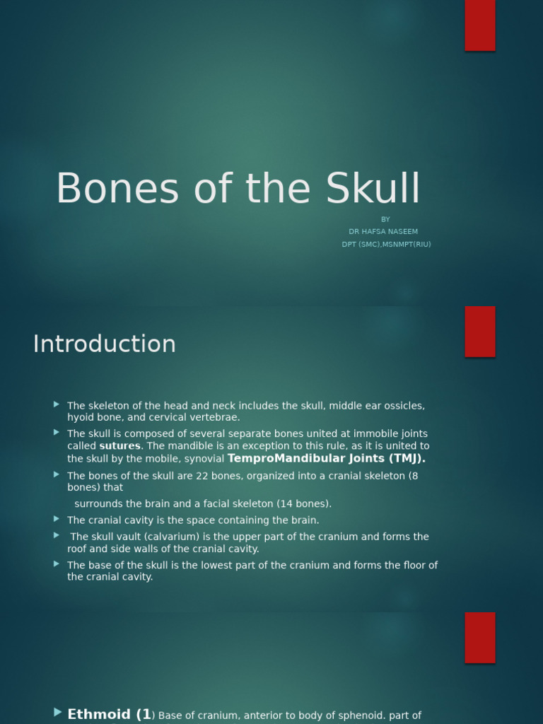 Anatomy of Skull Bones & Sutures | PDF | Skull | Human Anatomy