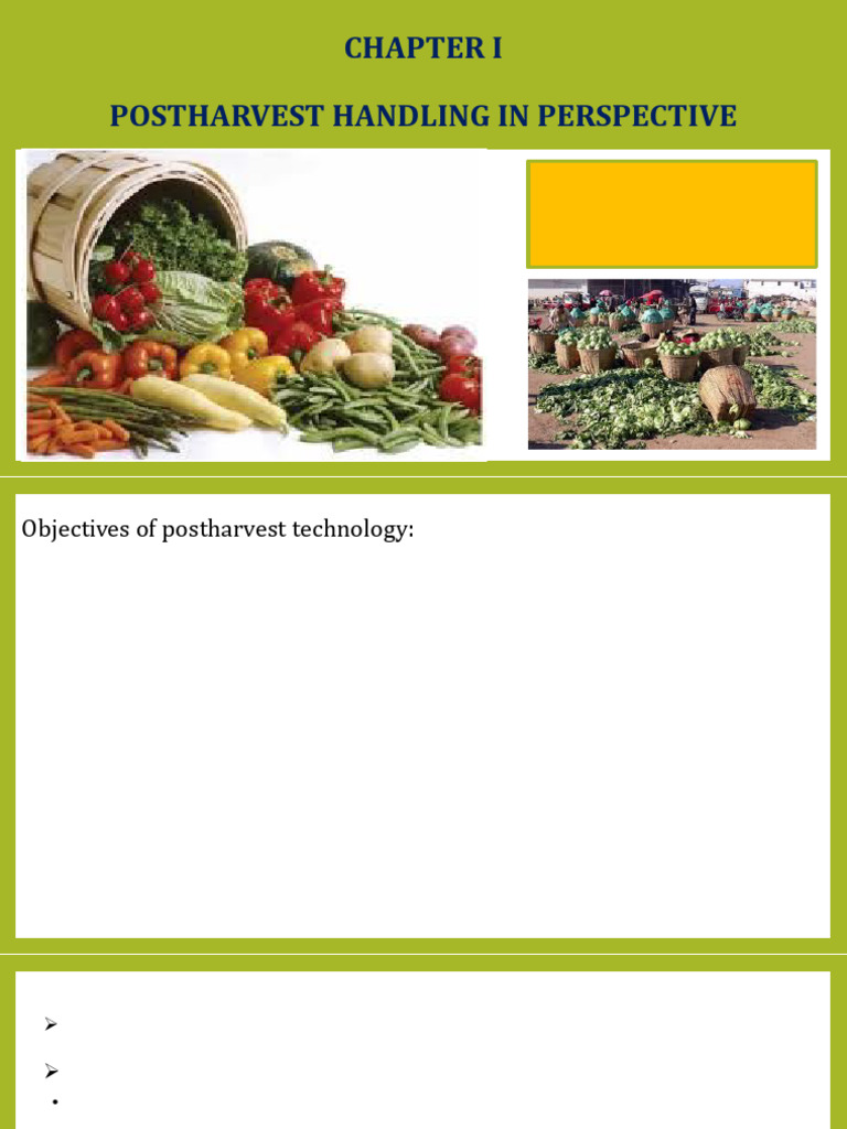 Lesson I Postharvest Handling in Perspective | PDF