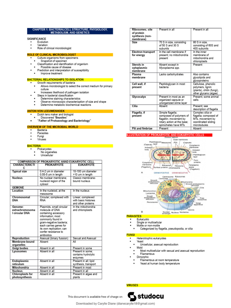 Clin Bacte Lec 1 | PDF