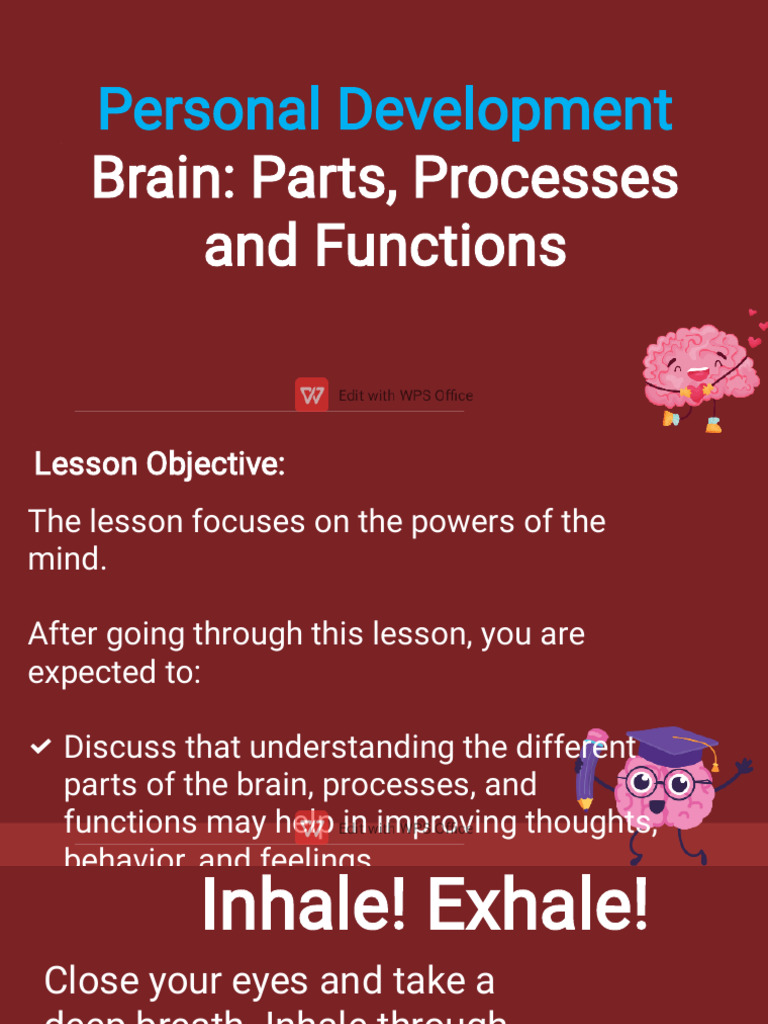 Topic 3 - Brain - Parts, Processes and Functions | PDF