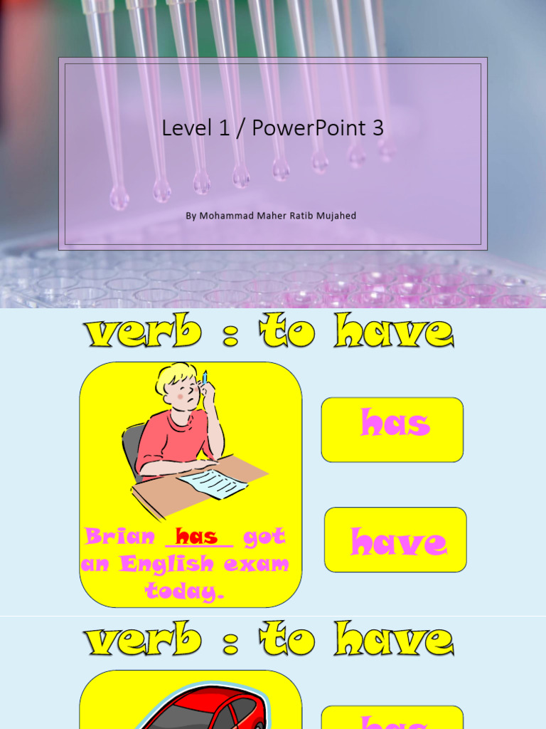 Level 1 - PPT 3 | PDF