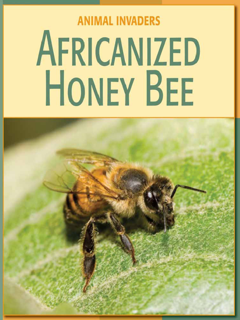 Africanized Honey Bee - Compress | PDF