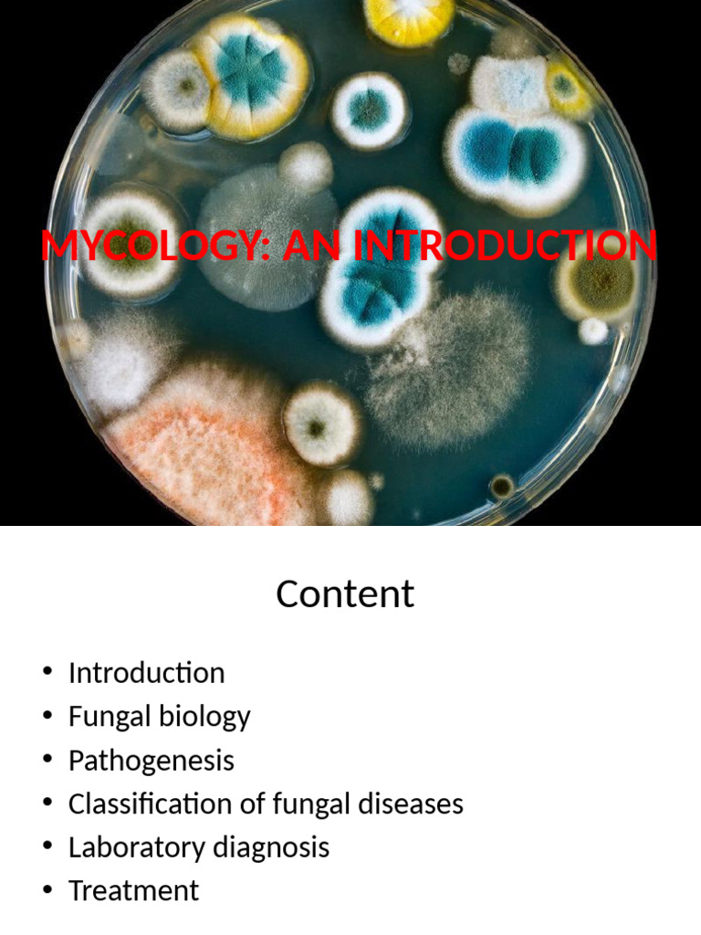 1 Mycology An Introduction | PDF