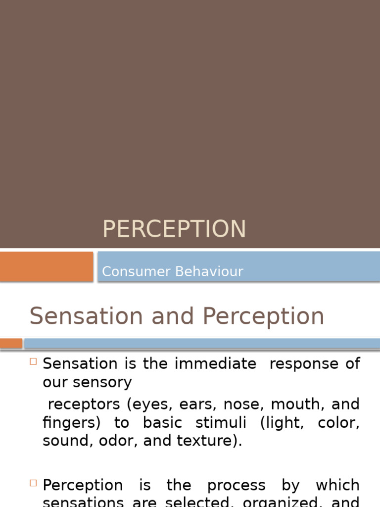 Perception | PDF