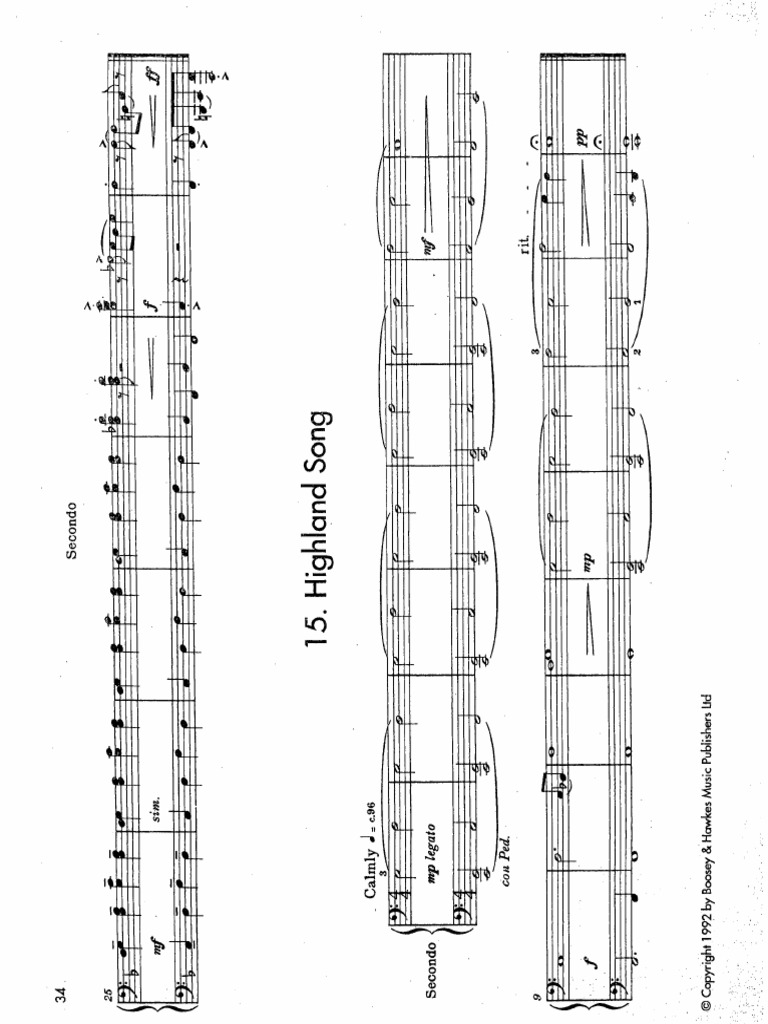 Chequer Board 2 Página | PDF