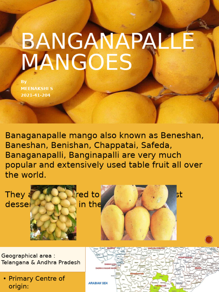 Banganapalle Mangoes | PDF