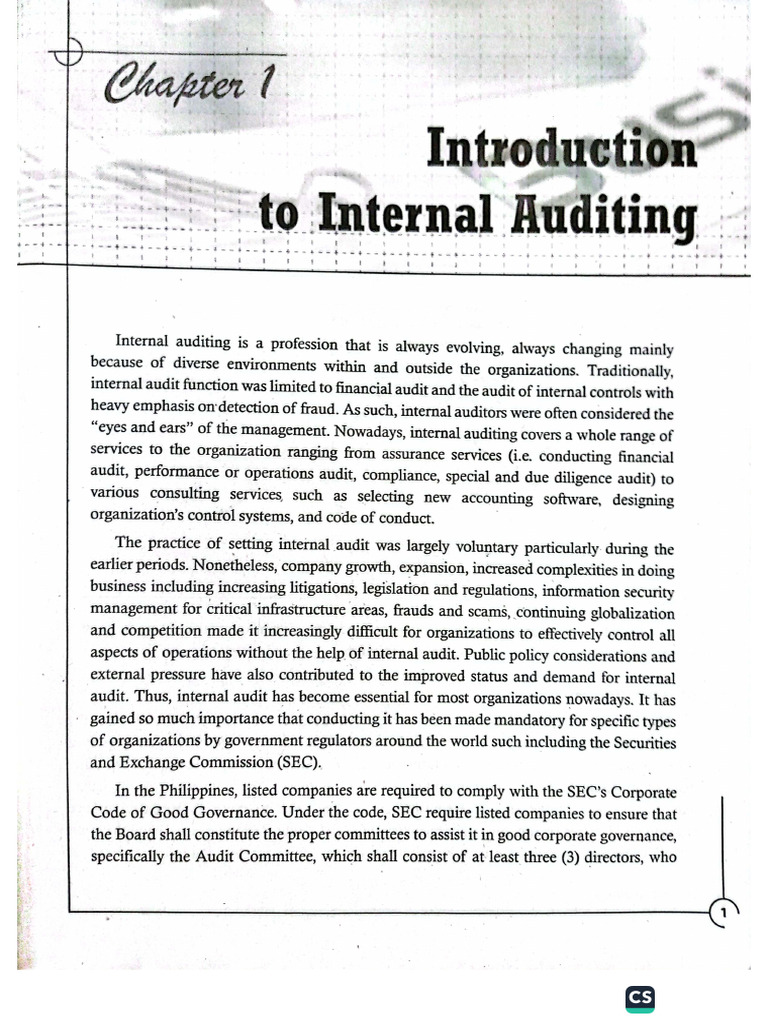 Internal Audit Chap 1 | PDF