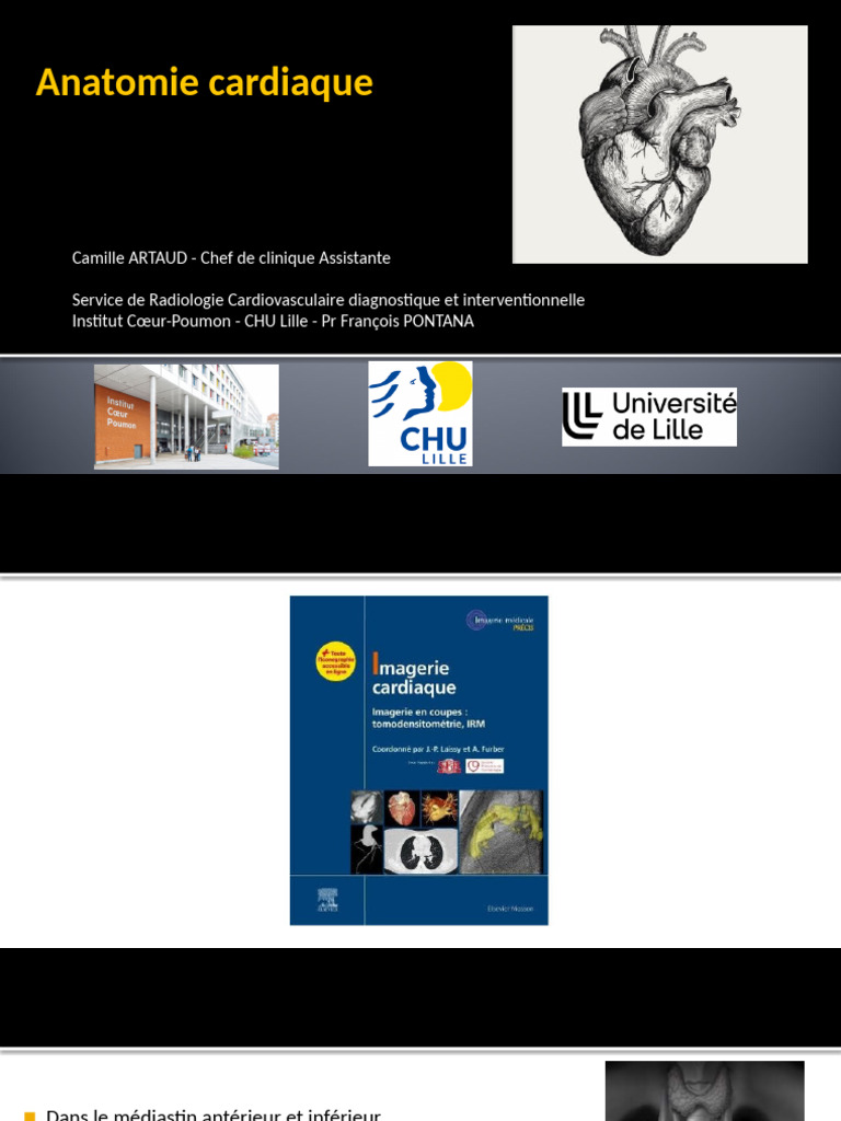 Anatomie cardiaque détaillée | PDF | Cœur | Thorax