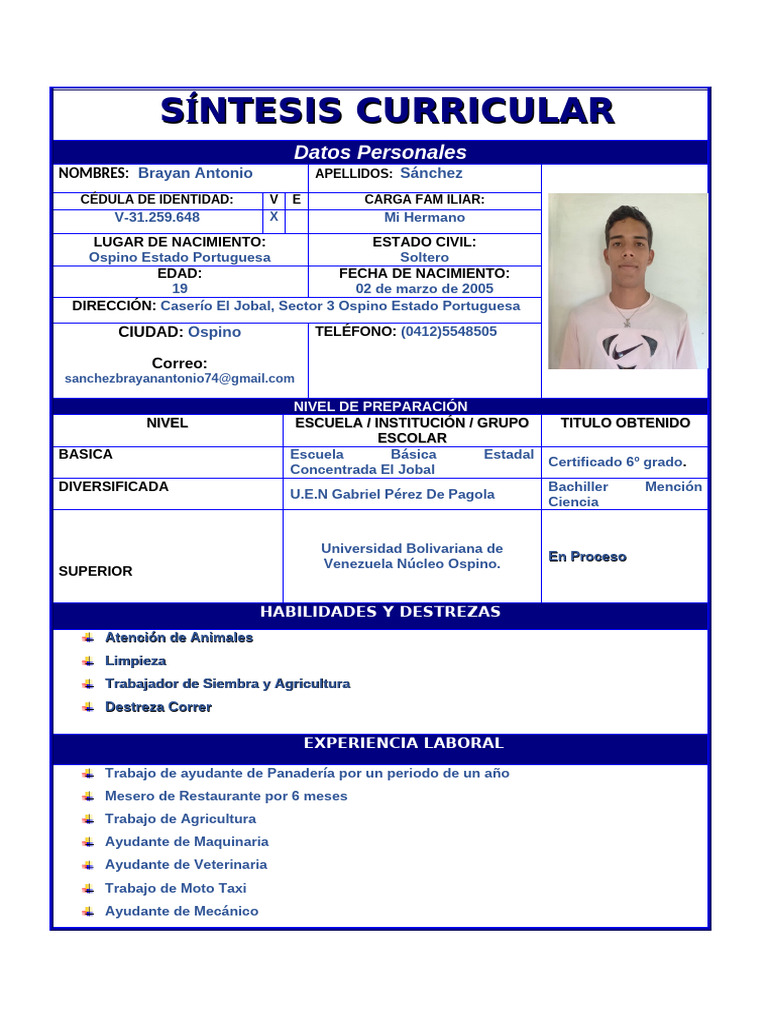 Curriculum Brayan | PDF