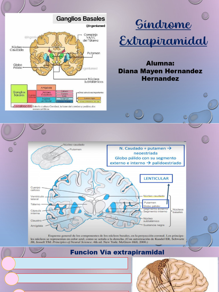 Sindrome Extrapiramidal-Diana Mayen-801 | PDF | Enfermedad de Parkinson ...