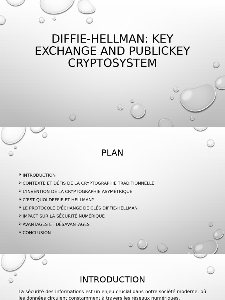 Diffie Hellman | PDF