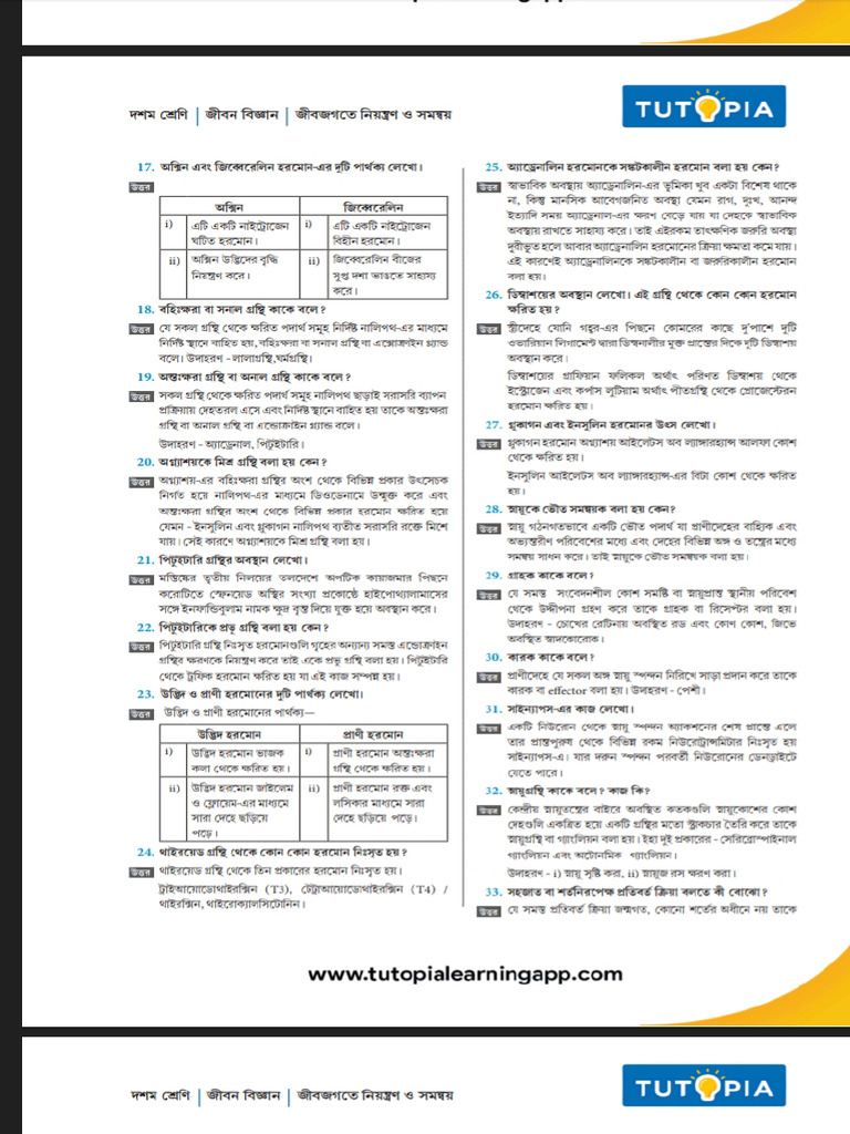 Document-WPS 5 | PDF