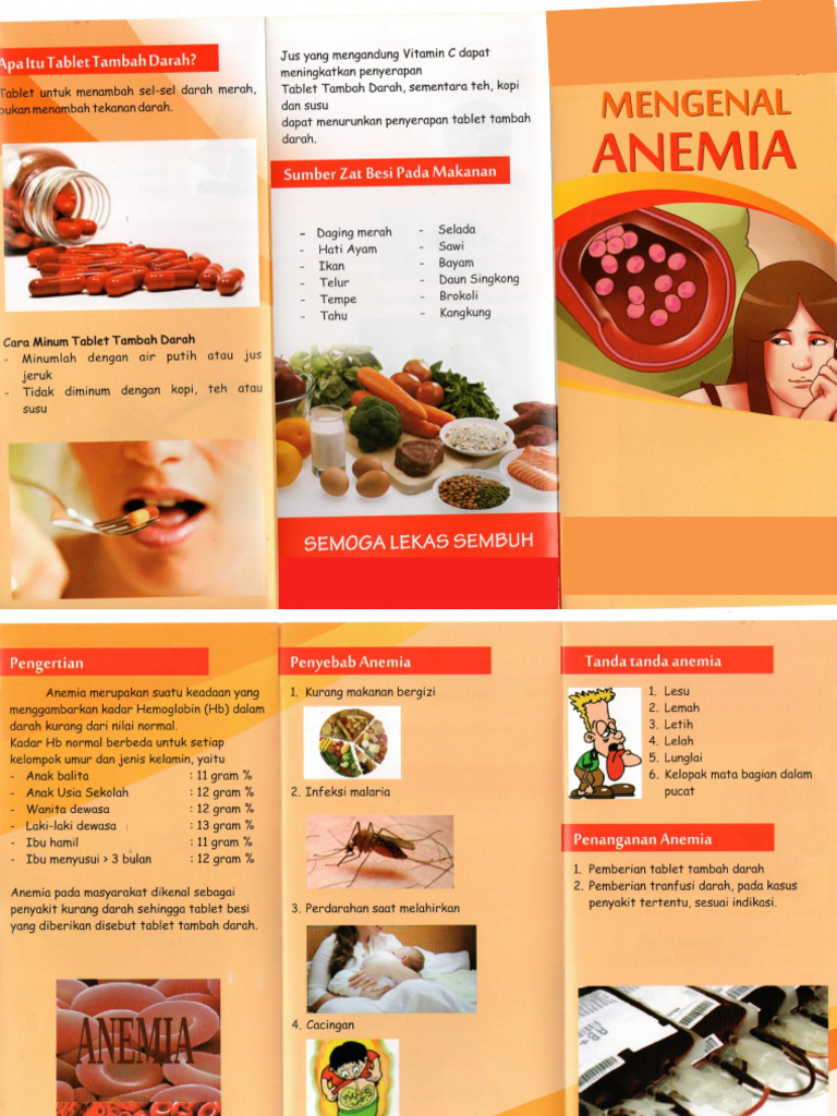 ANEMIA LEAFLET | PDF