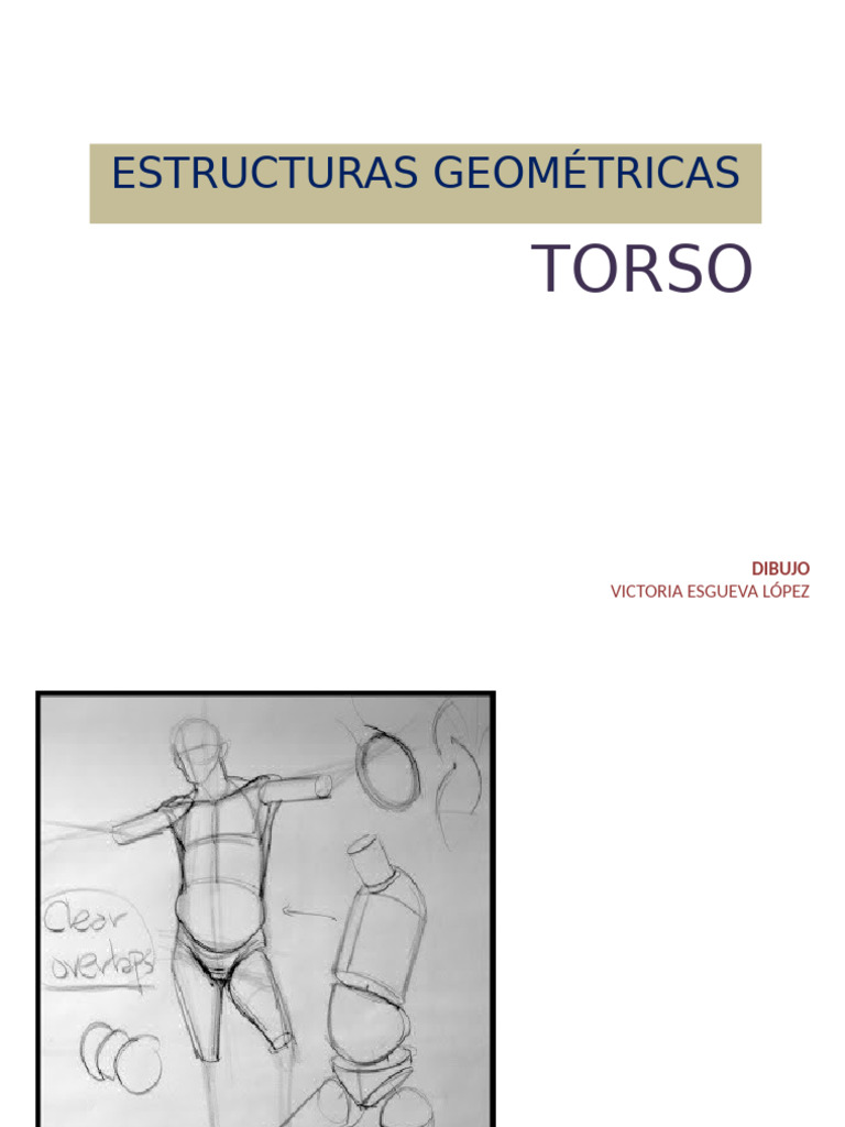 Torso Pdf