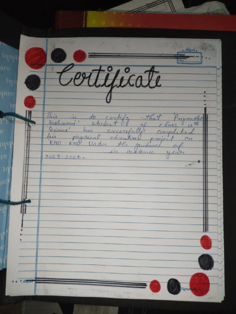 Phe File of Class 12 | PDF