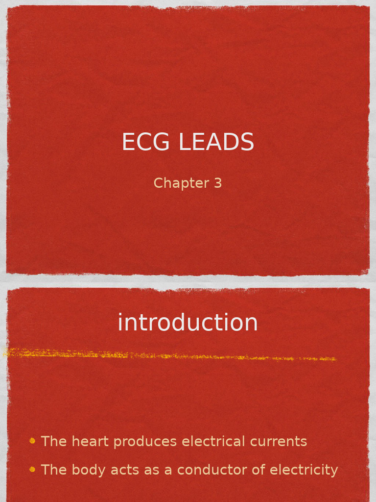 03 Ecg Leads | PDF