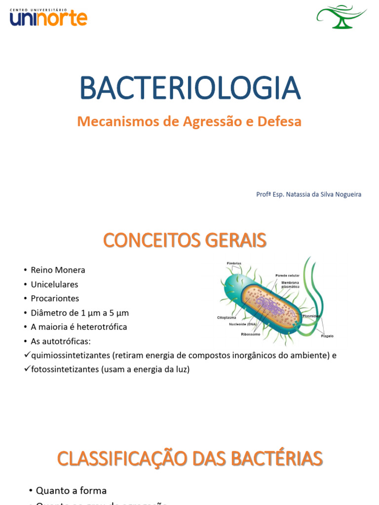 Aula 12 Bacteriologia | PDF