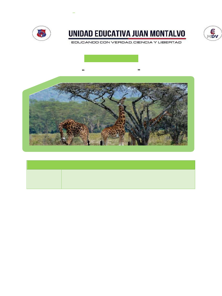 Guía CCNN-8vo EGB-U2-S1 | PDF