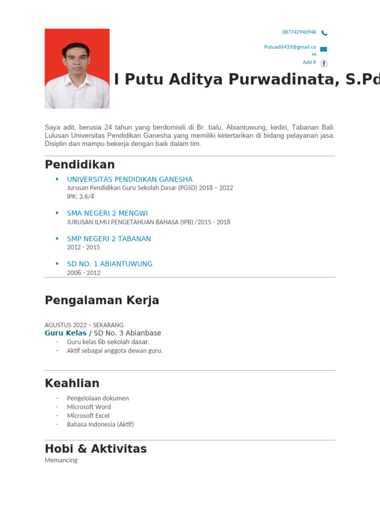 CV aditya | PDF