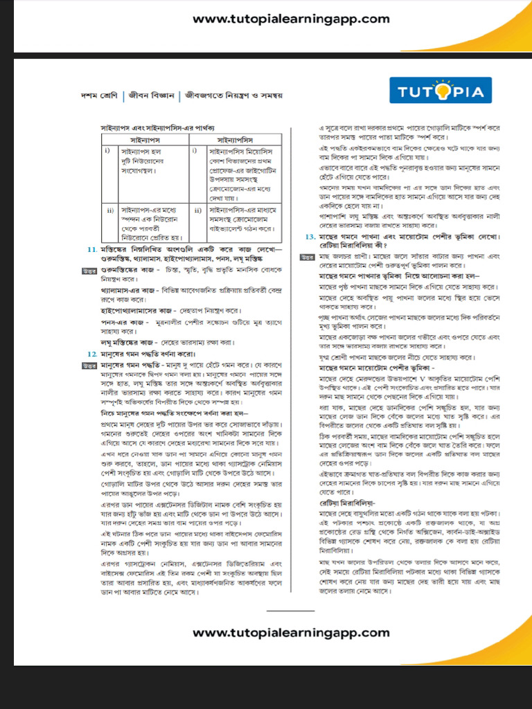 Document-WPS Office1 | PDF