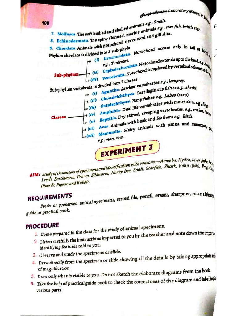 Class 11 Biology | PDF