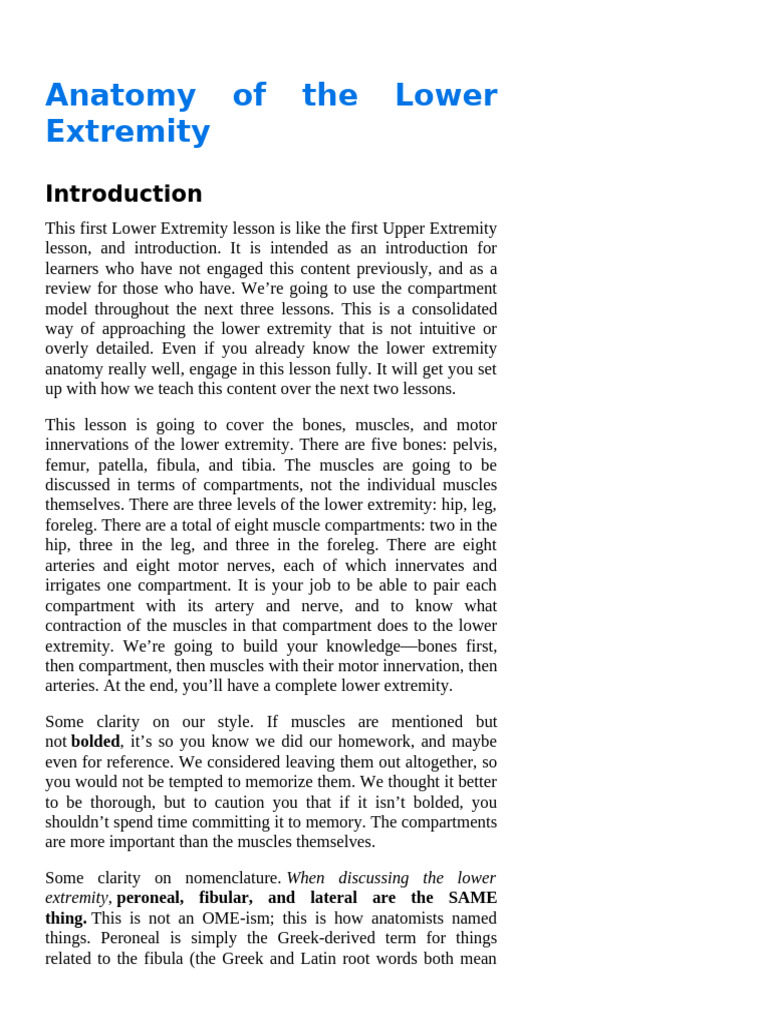 Anatomy of The Lower Extremity | PDF